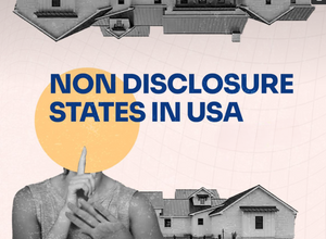 2025 list of 12 non-disclosure states in the USA | Bezit.co